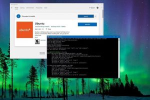 How To Install Windows Linux (WSL) Subsystem In Windows 10 - DED9