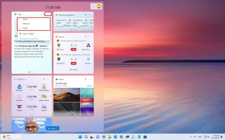 How to Add and Use Widgets on the Windows 11 Desktop - DED9